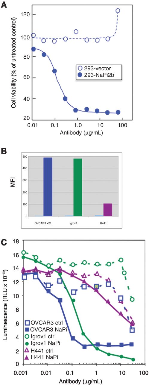 Preclinical Development of an Anti-NaPi2b (SLC34A2) Antibody–Drug ...