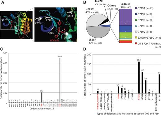 EGFR Exon 18 Mutations in Lung Cancer: Molecular Predictors of ...