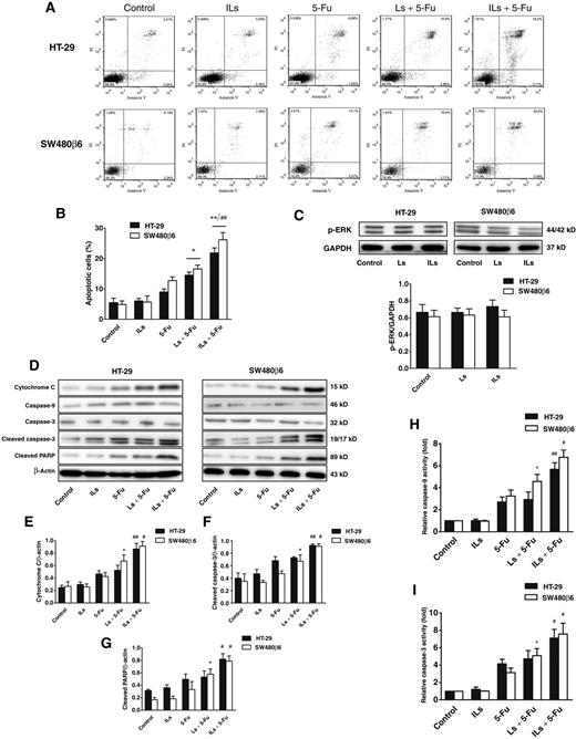 Integrinβ6-Targeted Immunoliposomes Mediate Tumor-Specific Drug ...