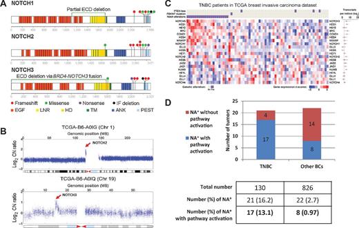 PEST Domain Mutations in Notch Receptors Comprise an Oncogenic Driver ...