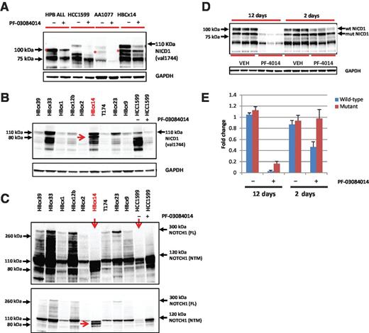 PEST Domain Mutations in Notch Receptors Comprise an Oncogenic Driver ...