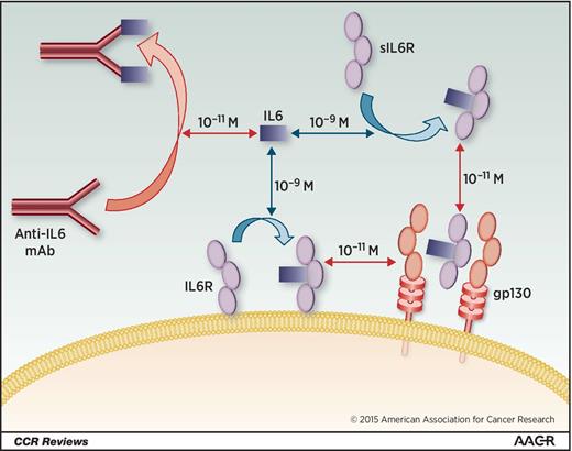 Interleukin-6 as a Therapeutic Target | Clinical Cancer Research ...