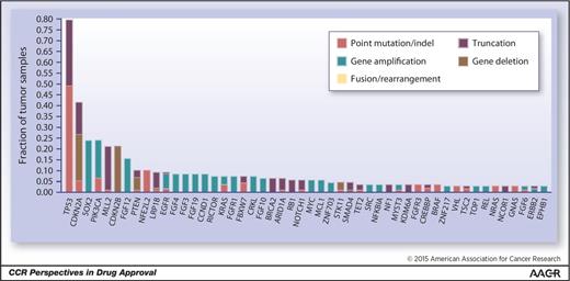 Lung Master Protocol (Lung-MAP)—A Biomarker-Driven Protocol for ...