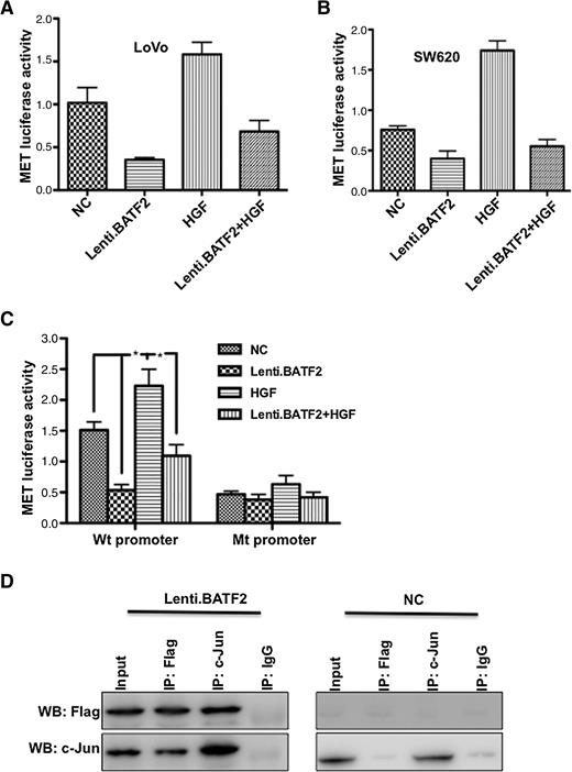 BATF2 Deficiency Promotes Progression in Human Colorectal Cancer via ...