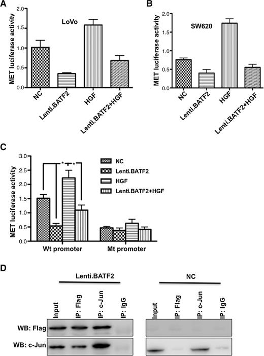 BATF2 Deficiency Promotes Progression in Human Colorectal Cancer via ...
