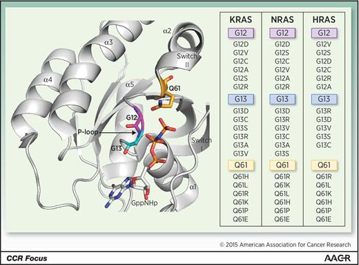 Direct Attack on RAS: Intramolecular Communication and Mutation ...