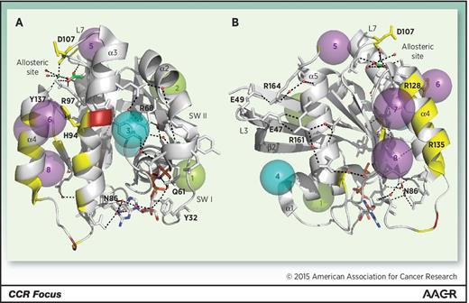 Direct Attack on RAS: Intramolecular Communication and Mutation ...