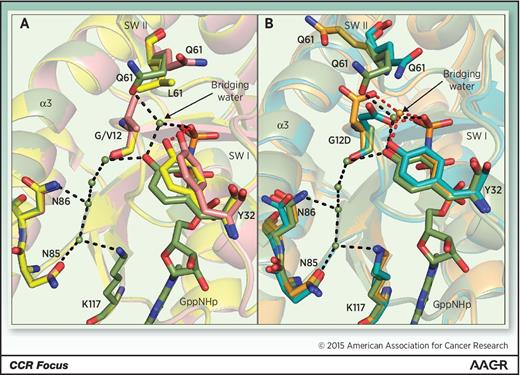 Direct Attack on RAS: Intramolecular Communication and Mutation ...