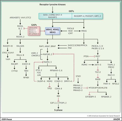 KRAS as a Therapeutic Target | Clinical Cancer Research | American ...