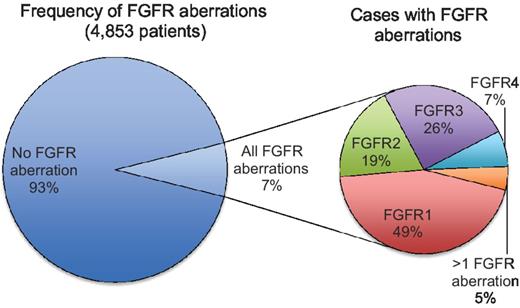 The FGFR Landscape in Cancer: Analysis of 4,853 Tumors by Next ...