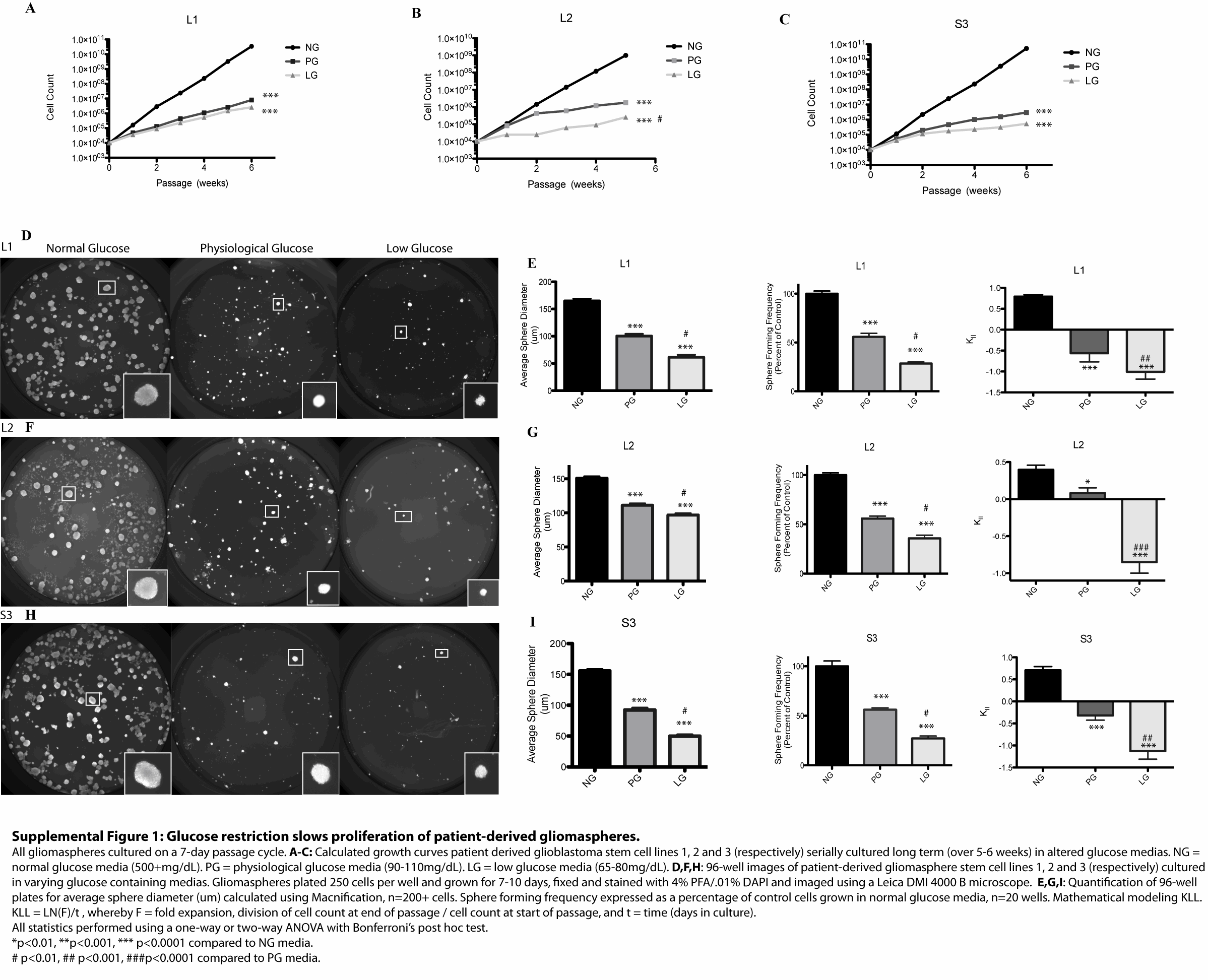 A Supplemented High-Fat Low-Carbohydrate Diet for the Treatment of ...