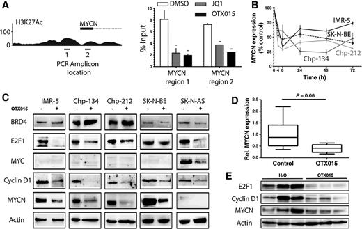 Targeting MYCN-Driven Transcription By BET-Bromodomain Inhibition ...
