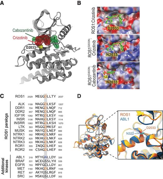A Novel Crizotinib-Resistant Solvent-Front Mutation Responsive to ...