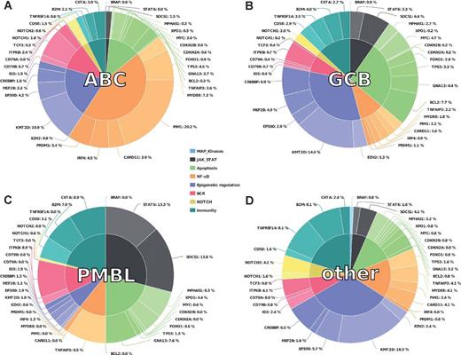 Next-Generation Sequencing in Diffuse Large B-Cell Lymphoma Highlights ...