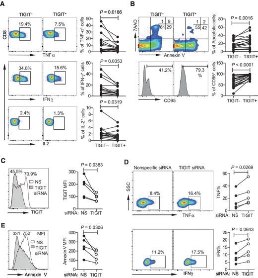 T-Cell Immunoglobulin and ITIM Domain (TIGIT) Associates with CD8+ T ...