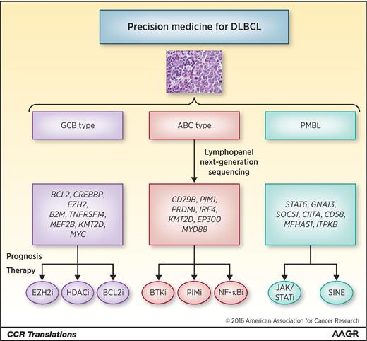 Precision Medicine for Diffuse Large B-cell Lymphoma | Clinical Cancer ...