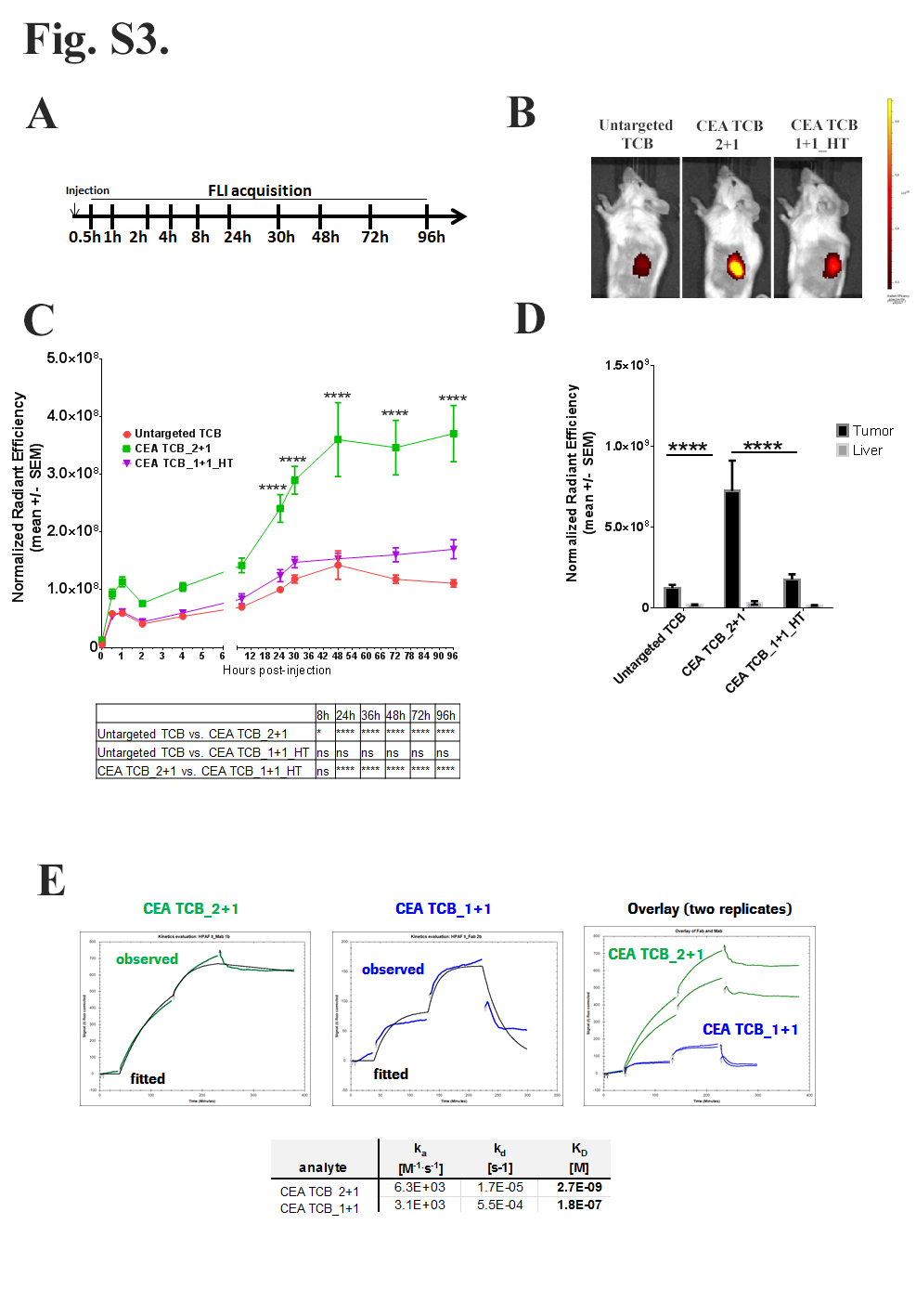 A Novel Carcinoembryonic Antigen T-Cell Bispecific Antibody (CEA TCB ...