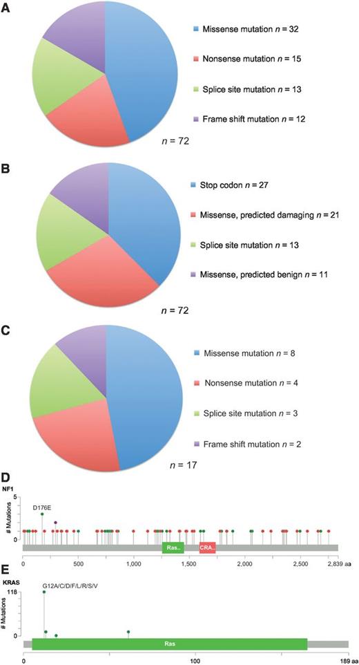 Clinical and Molecular Characteristics of NF1-Mutant Lung Cancer | Clinical Cancer Research ...