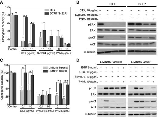 The First-in-class Anti-EGFR Antibody Mixture Sym004 Overcomes ...