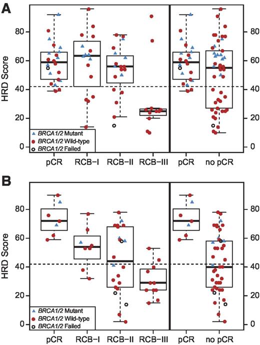 Homologous Recombination Deficiency (HRD) Score Predicts Response to ...