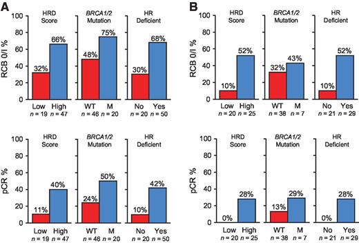 Homologous Recombination Deficiency (HRD) Score Predicts Response to ...