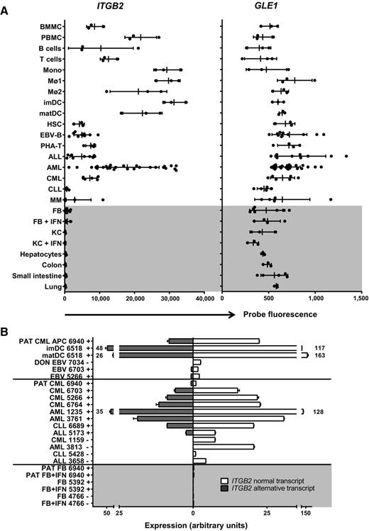Integrated Whole Genome and Transcriptome Analysis Identified a ...
