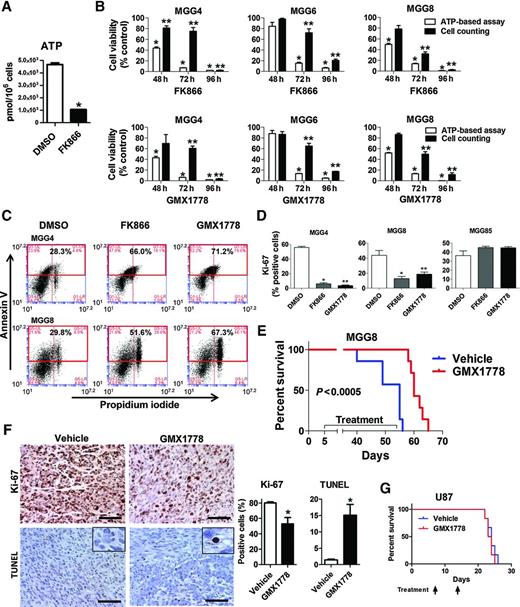 Myc-Driven Glycolysis Is a Therapeutic Target in Glioblastoma ...