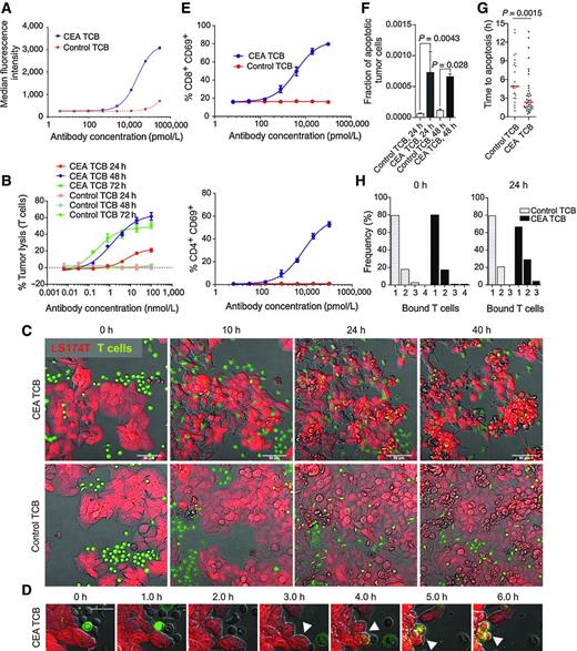 In Vivo Fluorescence Imaging of the Activity of CEA TCB, a Novel T-Cell ...