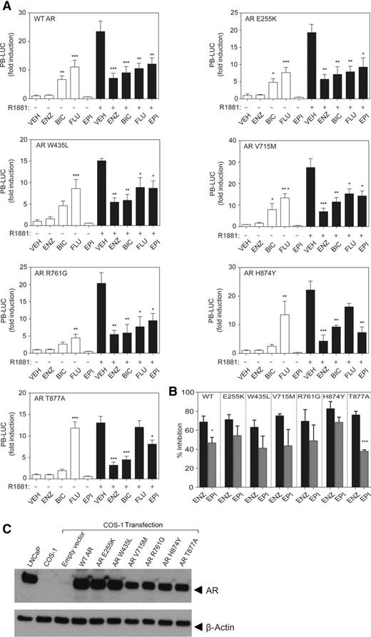 Targeting Androgen Receptor Activation Function 1 With Epi To Overcome