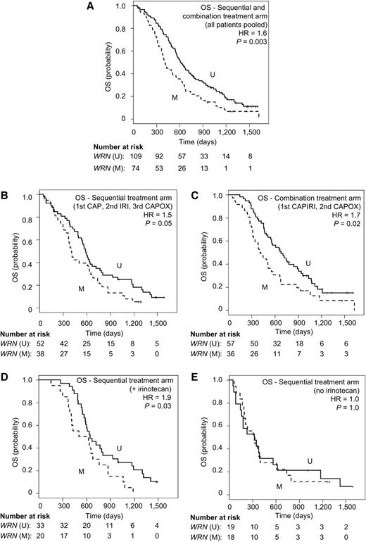 WRN Promoter CpG Island Hypermethylation Does Not Predict More ...