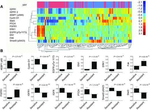 Proteomic Profiling Identifies PTK2/FAK as a Driver of Radioresistance in HPV-negative Head and ...