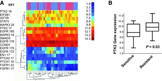 Proteomic Profiling Identifies PTK2/FAK as a Driver of Radioresistance in HPV-negative Head and ...