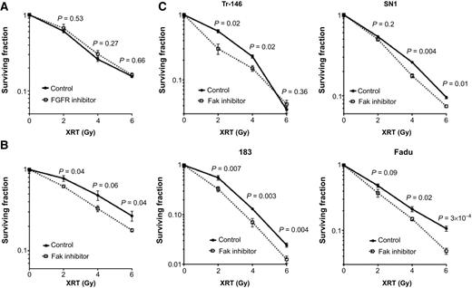 Proteomic Profiling Identifies PTK2/FAK as a Driver of Radioresistance in HPV-negative Head and ...