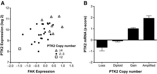 Proteomic Profiling Identifies PTK2/FAK as a Driver of Radioresistance in HPV-negative Head and ...