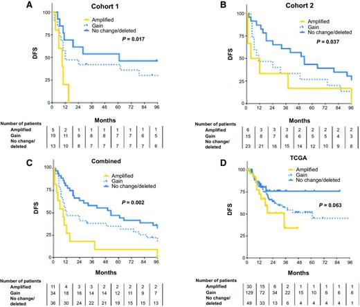 Proteomic Profiling Identifies PTK2/FAK as a Driver of Radioresistance in HPV-negative Head and ...
