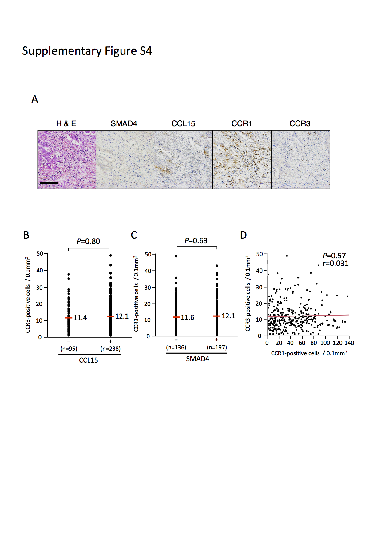 Loss of SMAD4 Promotes Colorectal Cancer Progression by Accumulation of ...