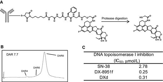 DS-8201a, A Novel HER2-Targeting ADC with a Novel DNA Topoisomerase I ...