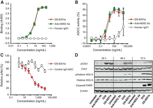 DS-8201a, A Novel HER2-Targeting ADC with a Novel DNA Topoisomerase I ...