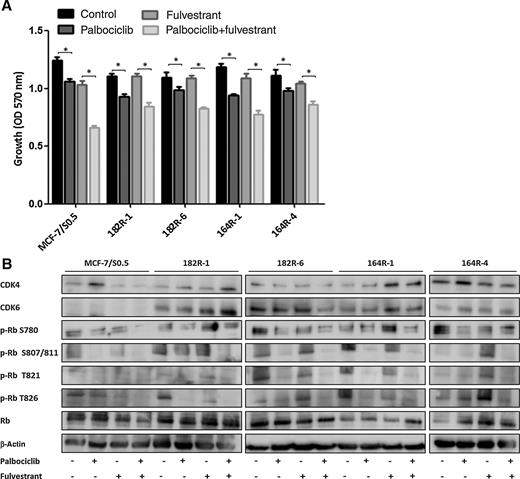 High CDK6 Protects Cells from Fulvestrant-Mediated Apoptosis and is a ...