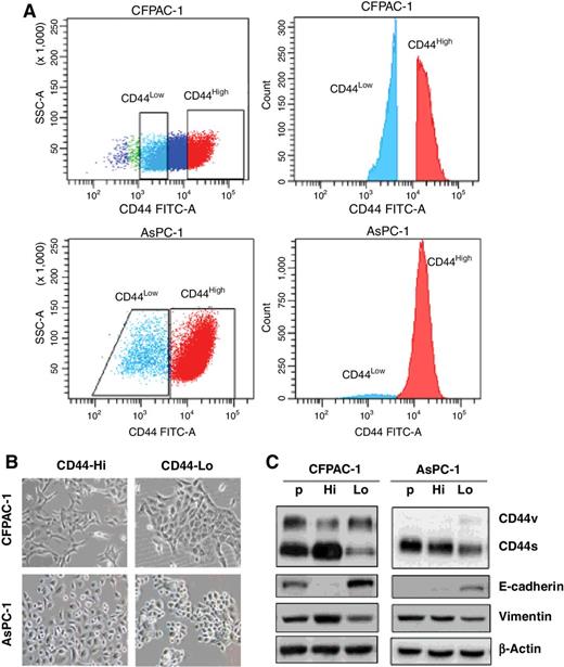CD44 Expression Level and Isoform Contributes to Pancreatic Cancer Cell ...