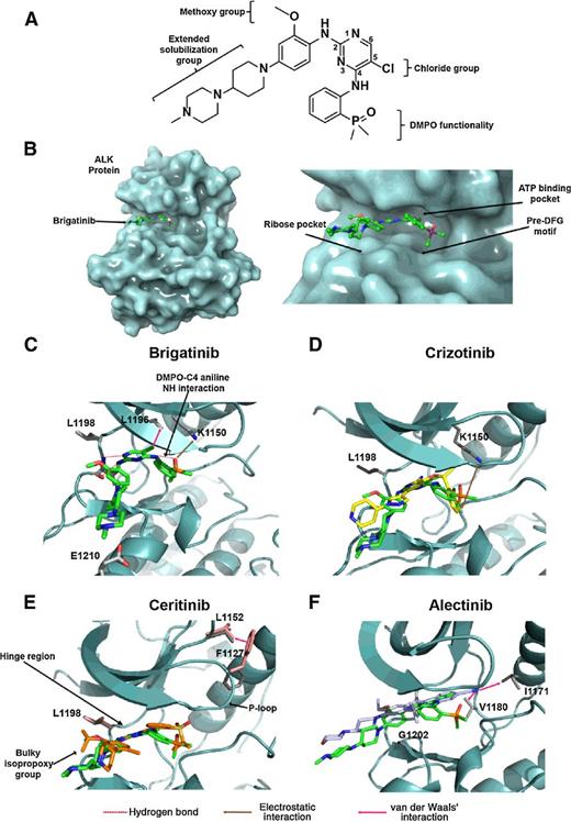 The Potent ALK Inhibitor Brigatinib (AP26113) Overcomes Mechanisms of ...