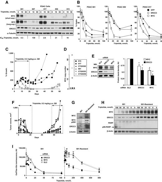Screening of Conditionally Reprogrammed Patient-Derived Carcinoma Cells ...