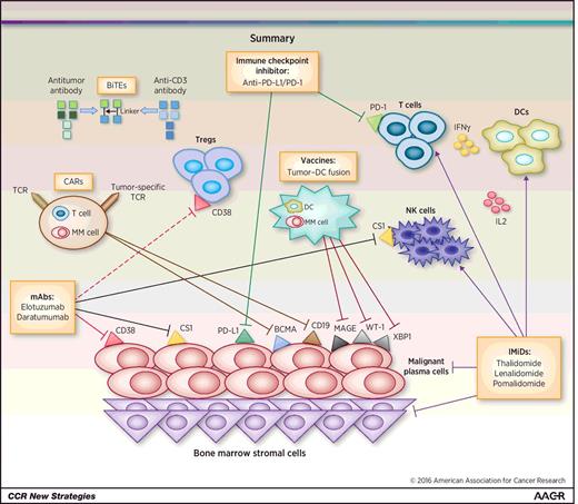 New Strategies in Multiple Myeloma: Immunotherapy as a Novel Approach ...