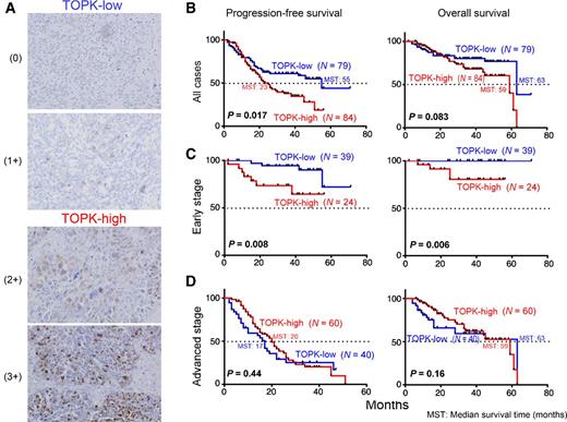 T-LAK Cell-Originated Protein Kinase (TOPK) as a Prognostic Factor and ...