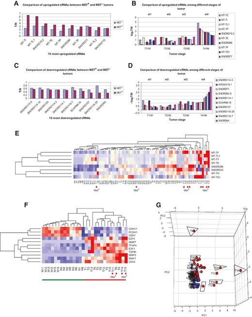 Distinct Profiles for Mitochondrial t-RNAs and Small Nucleolar RNAs in ...