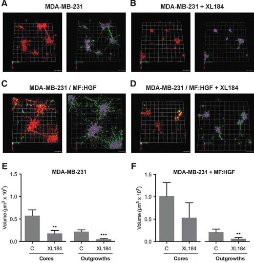 Cabozantinib (XL184) Inhibits Growth and Invasion of Preclinical TNBC ...