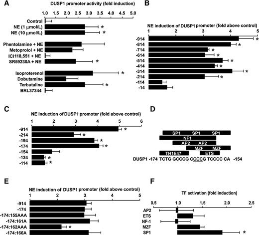 Adrenergic Stimulation of DUSP1 Impairs Chemotherapy Response in ...