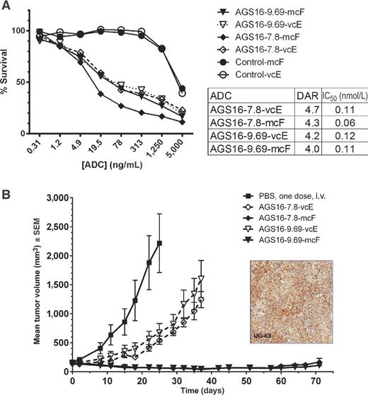 AGS16F Is a Novel Antibody Drug Conjugate Directed against ENPP3 for ...