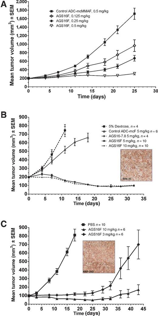 AGS16F Is a Novel Antibody Drug Conjugate Directed against ENPP3 for ...