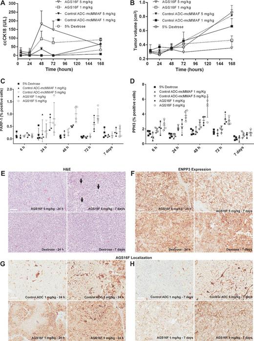 AGS16F Is a Novel Antibody Drug Conjugate Directed against ENPP3 for ...